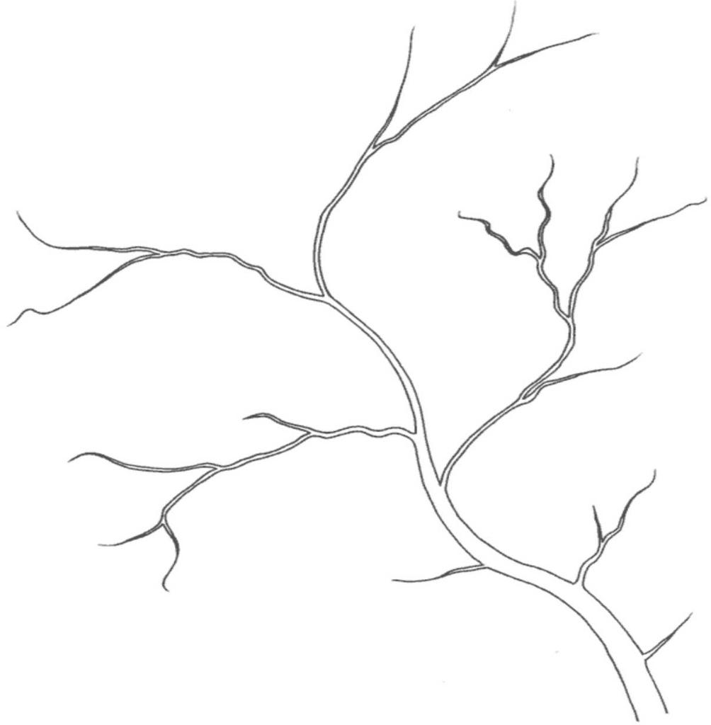 Solved CAN SOMEONE HELP? IM CONFUSED Please number each | Chegg.com