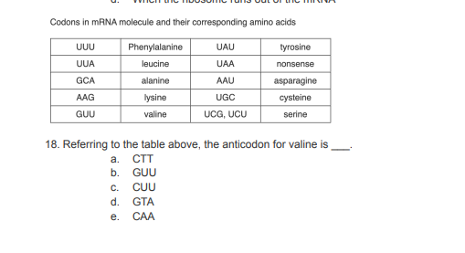 Solved Codons in mANA molecule and their corresponding amino | Chegg.com