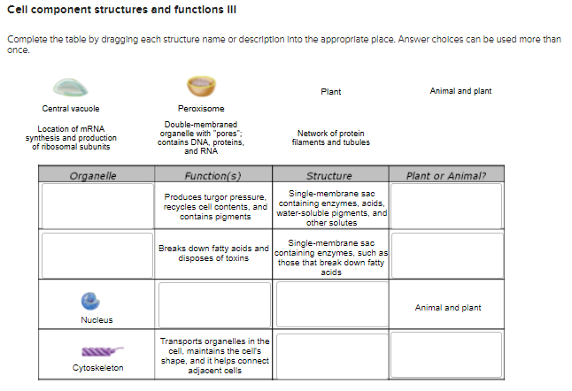 Solved Cell Component Structures And Functions III Complete Chegg
