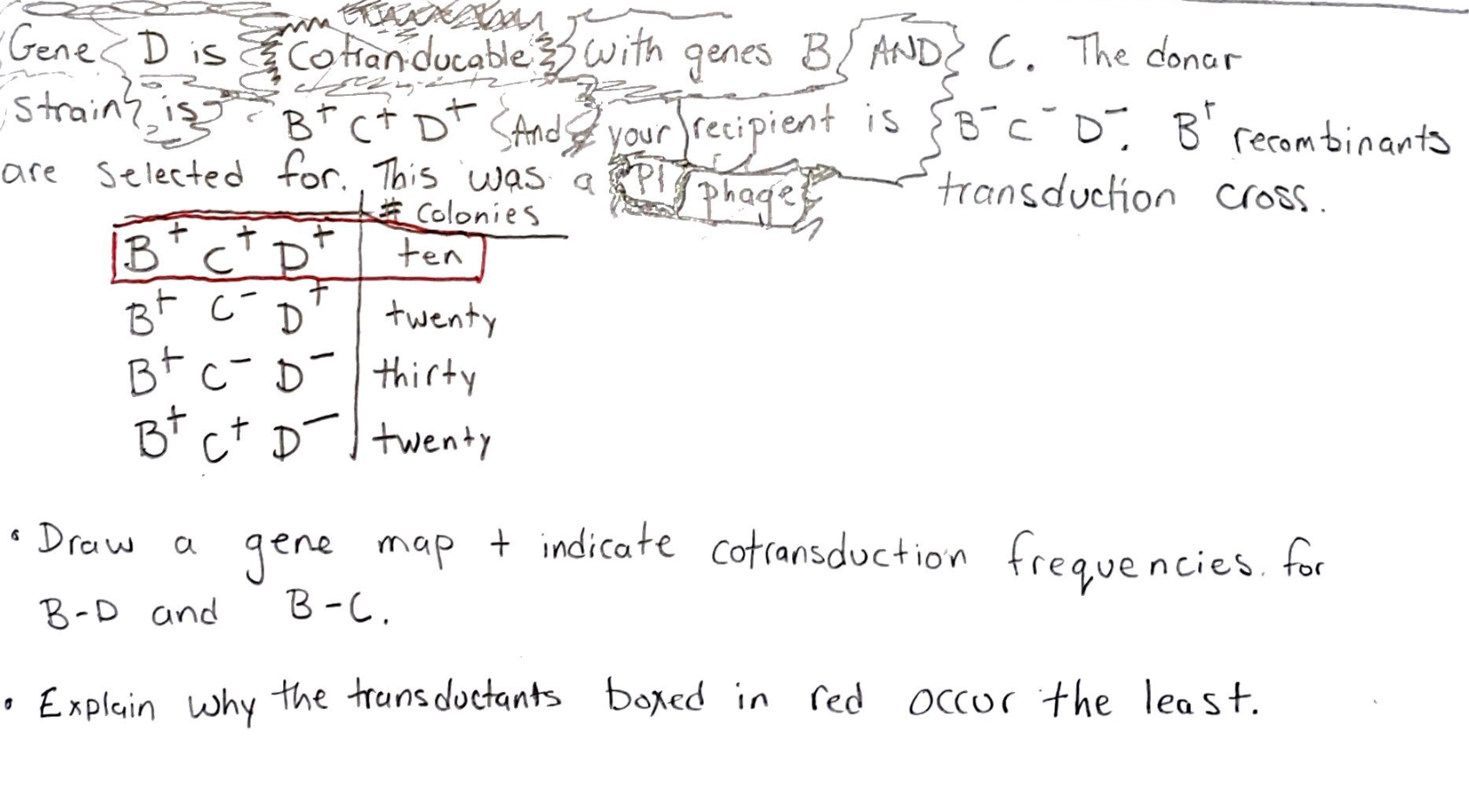 Solved Only answer if you are a genetics expert. Do your | Chegg.com