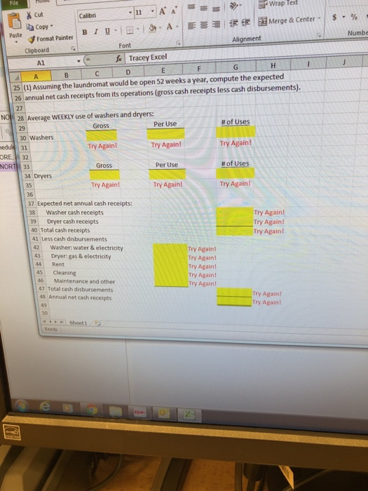 Solved Format Painter Clipboard Alignment Font Tracey Excel | Chegg.com