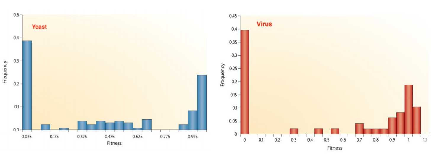 Solved 1. The figures below show the distribution of the | Chegg.com