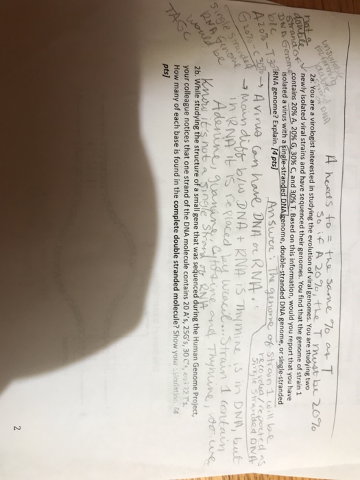 Solved Protein Kpol peptide An RNA polymerase is | Chegg.com