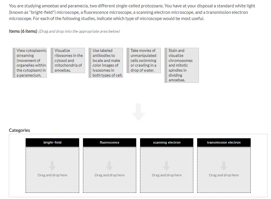 Solved You are studying amoebas and paramecia, two different | Chegg.com