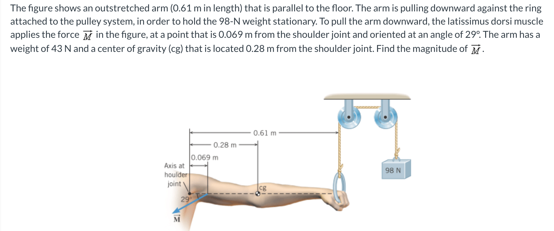 Solved The figure shows an outstretched arm ( 0.61 m in | Chegg.com