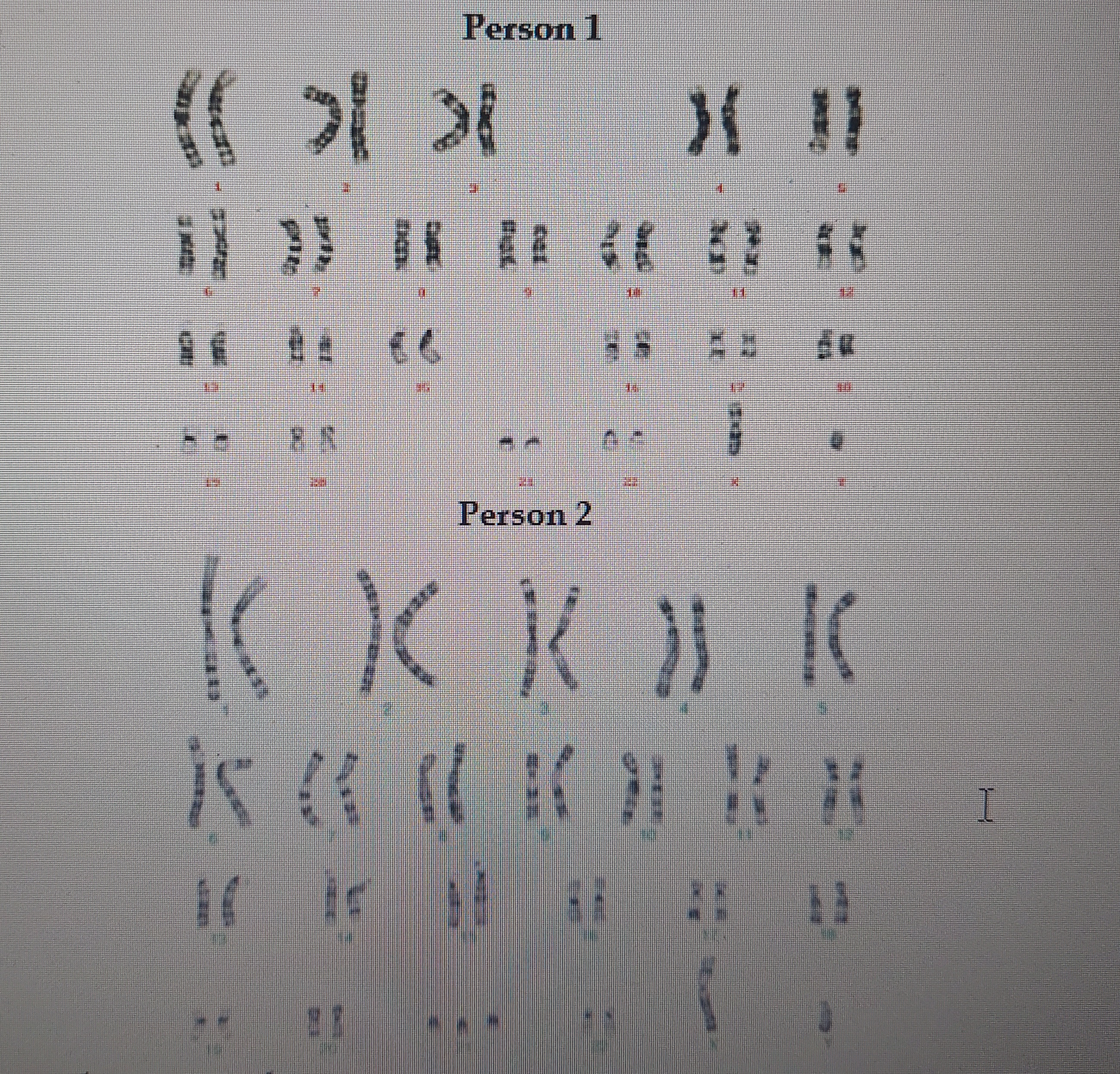 Solved You have performed the karyotyping procedure of two | Chegg.com