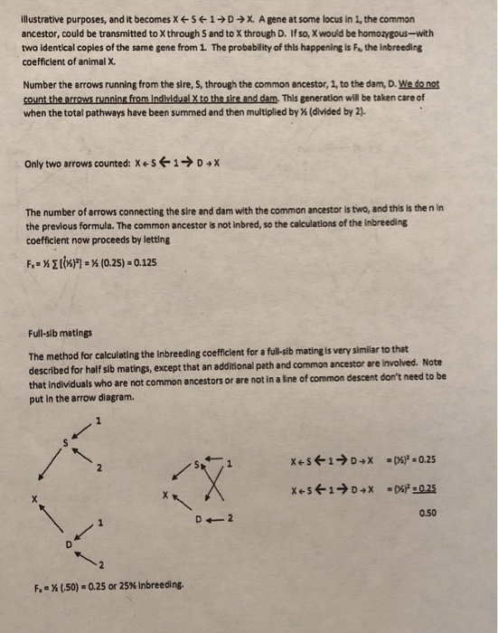 The formula for calculating inbreeding coefficients | Chegg.com