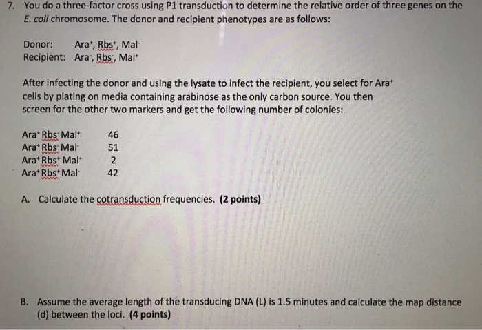 You do a three-factor cross using P1 transduction to | Chegg.com