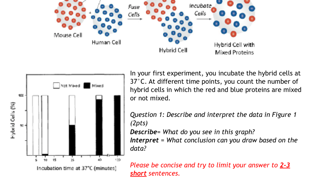 LSZA Week 2 - Membrane Fluidity and Membrane | Chegg.com