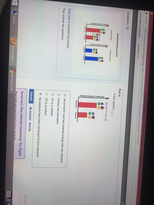Solved 10 Question 10 Click here to complete this activity. | Chegg.com
