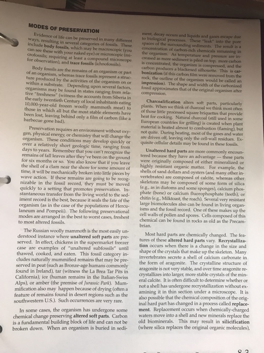 EXERCISE 8 FOSSIL PRESERVATION AND TAPHONOMY | Chegg.com