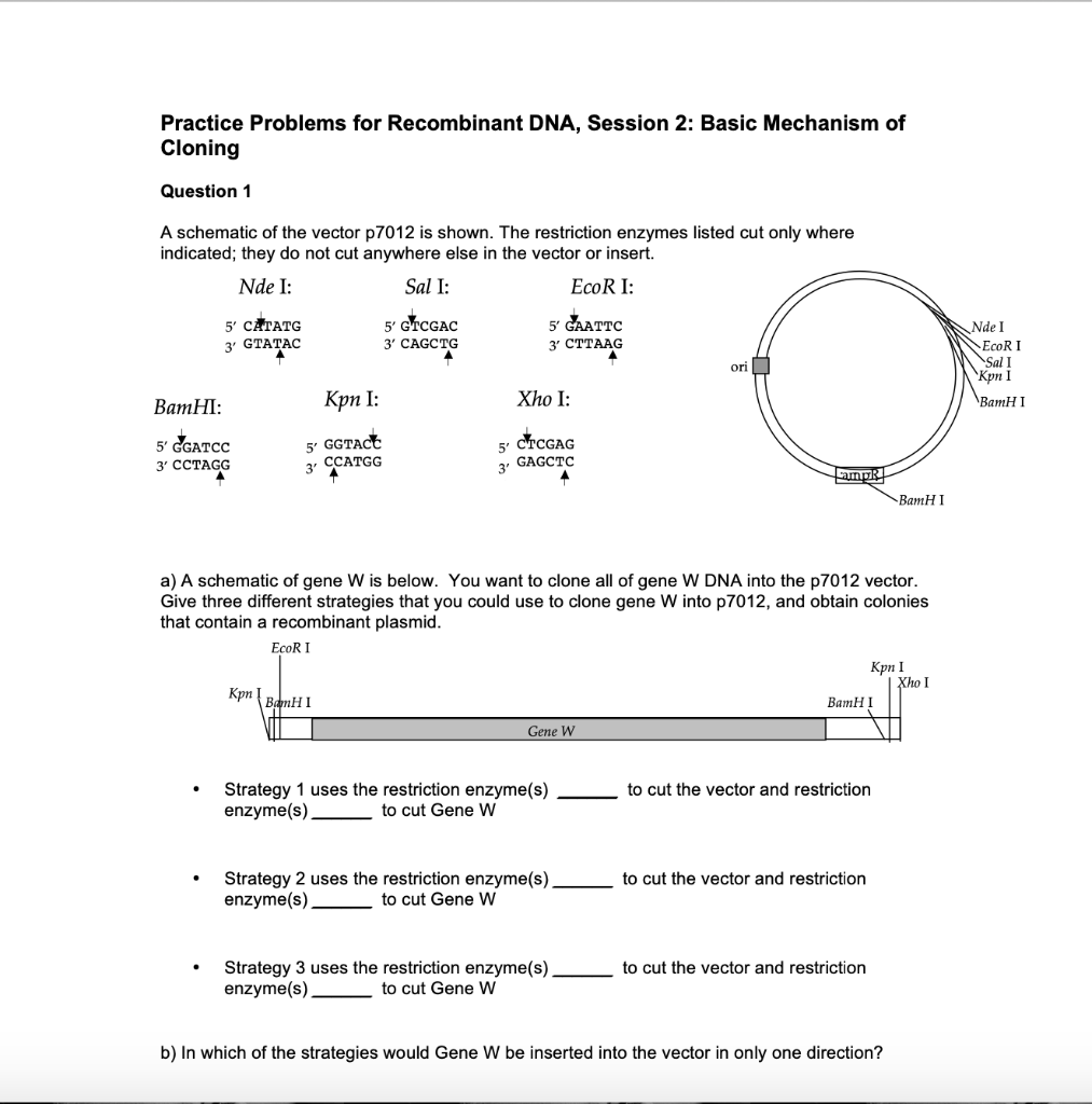 Practice Problems for Recombinant DNA, Session 2: | Chegg.com