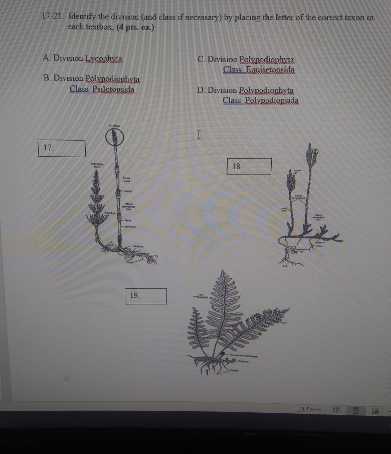 Solved 17-21. Identify the division and class if necessary) | Chegg.com