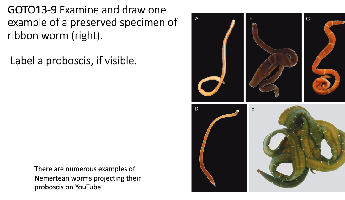 A B C GOTO13-9 Examine and draw one example of a | Chegg.com