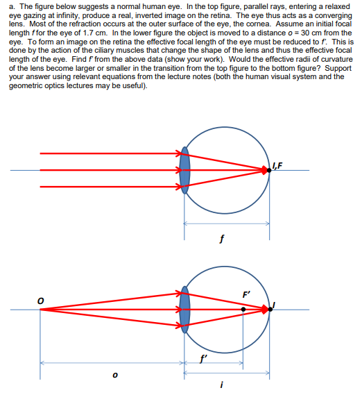 Solved a. The figure below suggests a normal human eye. In | Chegg.com