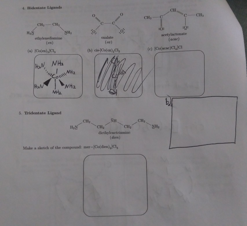 Solved 4. Bidentate Ligands CH CH3-C G CH₃ CH3 -CH HN NH | Chegg.com