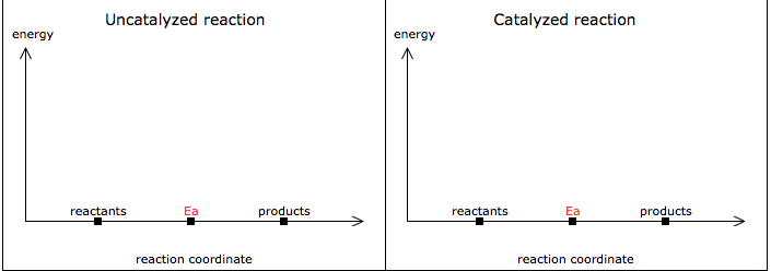 Solved Sketch a qualitative reaction energy diagram for a | Chegg.com