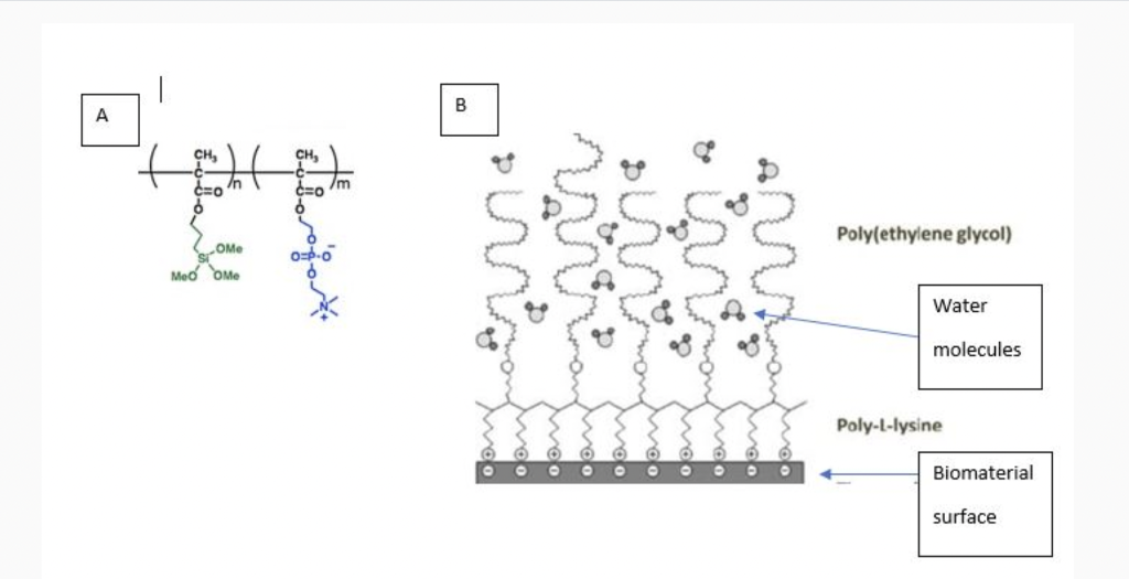 Solved Silicone elastomer (Figure A) is a common biomaterial | Chegg.com