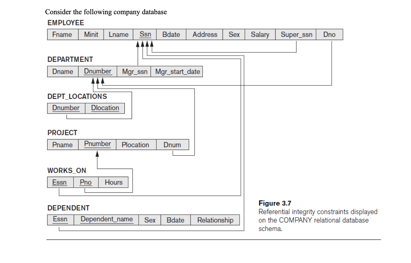 Solved Consider the following company database EMPLOYEE | Chegg.com