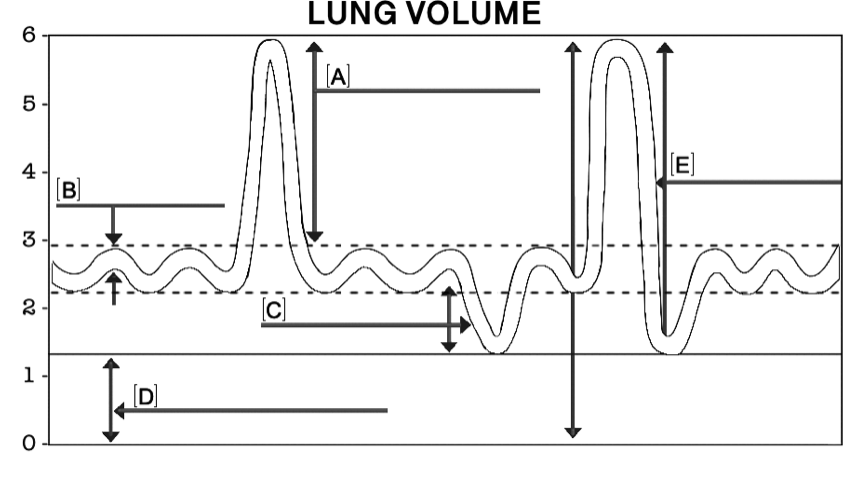 Solved Please answer all the questions: a) Which respiratory | Chegg.com