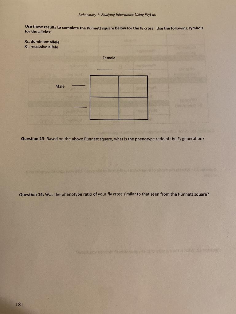 Solved Laboratory 1: Studying Inheritance Using FlyLab BAR | Chegg.com