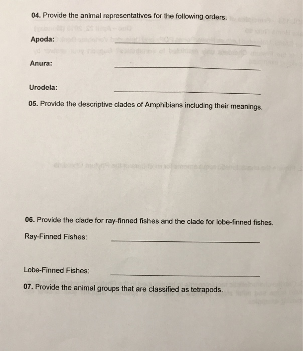 Solved 04. Provide the animal representatives for the | Chegg.com