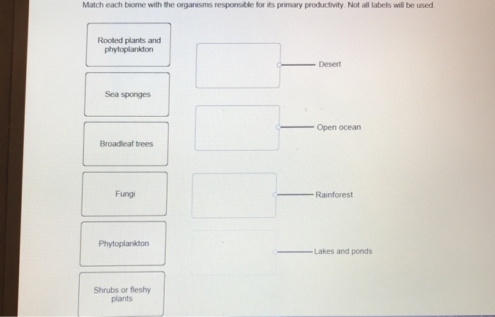 Solved Primary productivity of ecosystems. Match each biome | Chegg.com