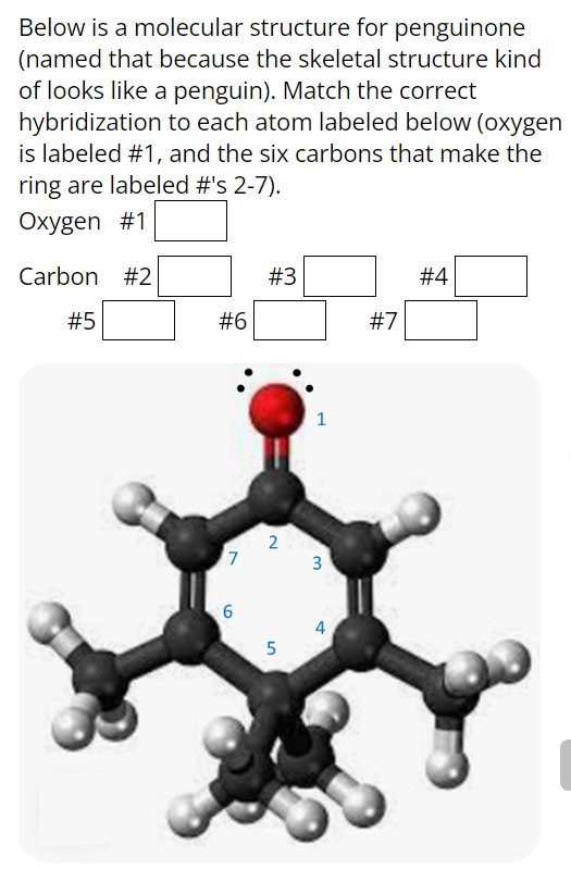 Solved Below is a molecular structure for penguinone (named | Chegg.com