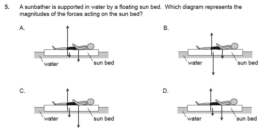 Solved A sunbather is supported in water by a floating sun | Chegg.com