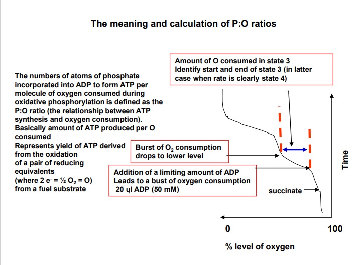 Solved What value range was your estimate for the P:O ratio | Chegg.com