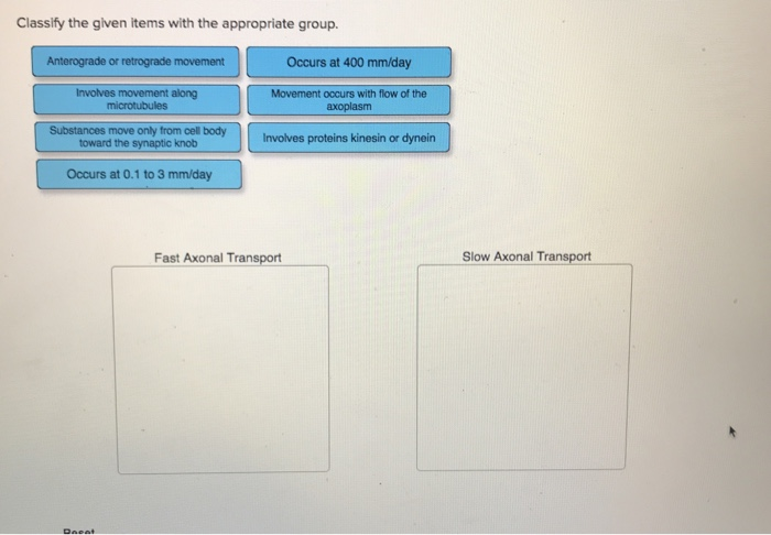 Solved Classify the given items with the appropriate group | Chegg.com