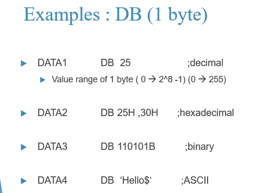 Solved Examples : DB (1 byte) | Chegg.com