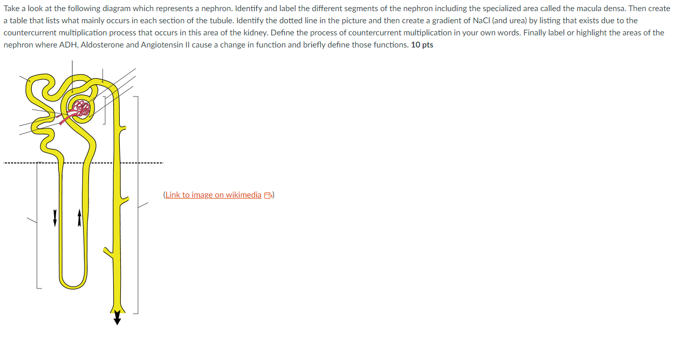 Solved Take a look at the following diagram which represents | Chegg.com
