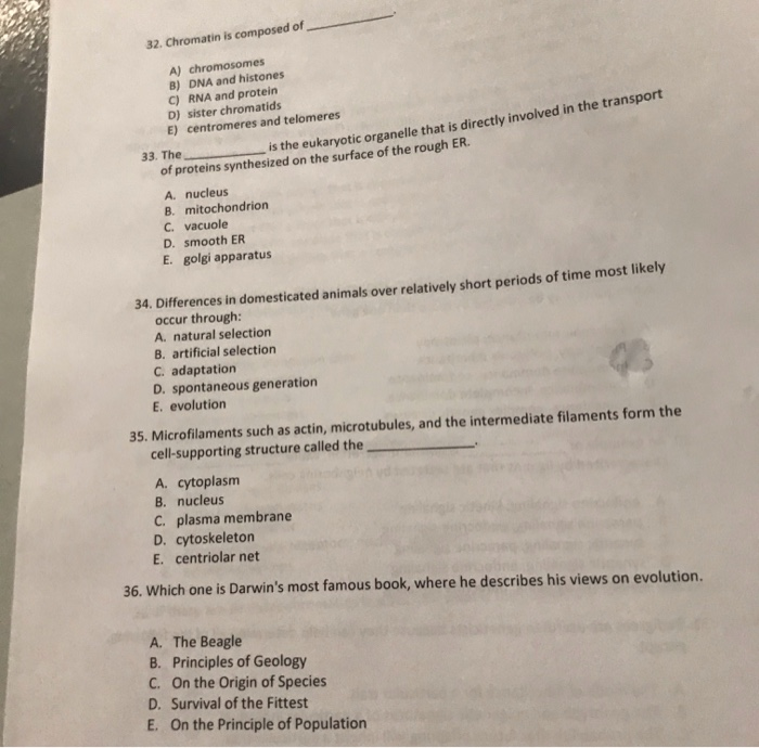 Solved 32. Chromatin is composed of A) chromosomes B) DNA | Chegg.com