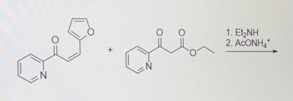 Solved 1. Et2NH 2. ACONH4* + | Chegg.com