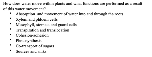 Solved • Abe How does water move within plants and what | Chegg.com