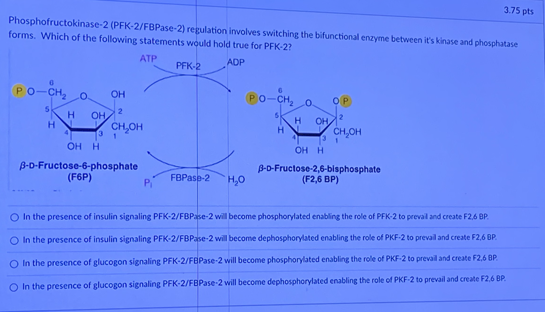 Solved 3.75 pts Phosphofructokinase-2 (PFK-2/FBPase-2) | Chegg.com