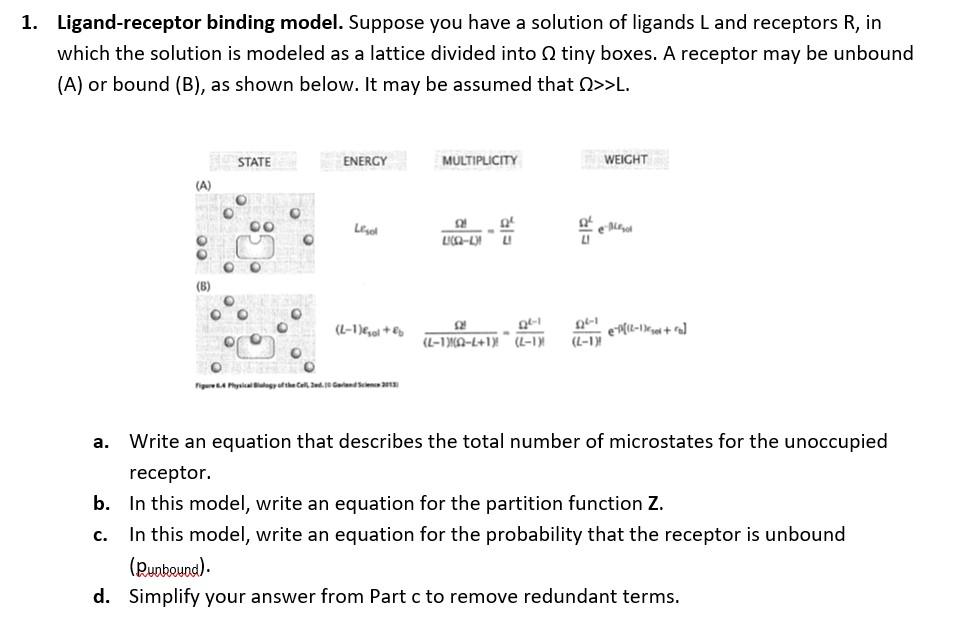 1. Ligand-receptor binding model. Suppose you have a | Chegg.com