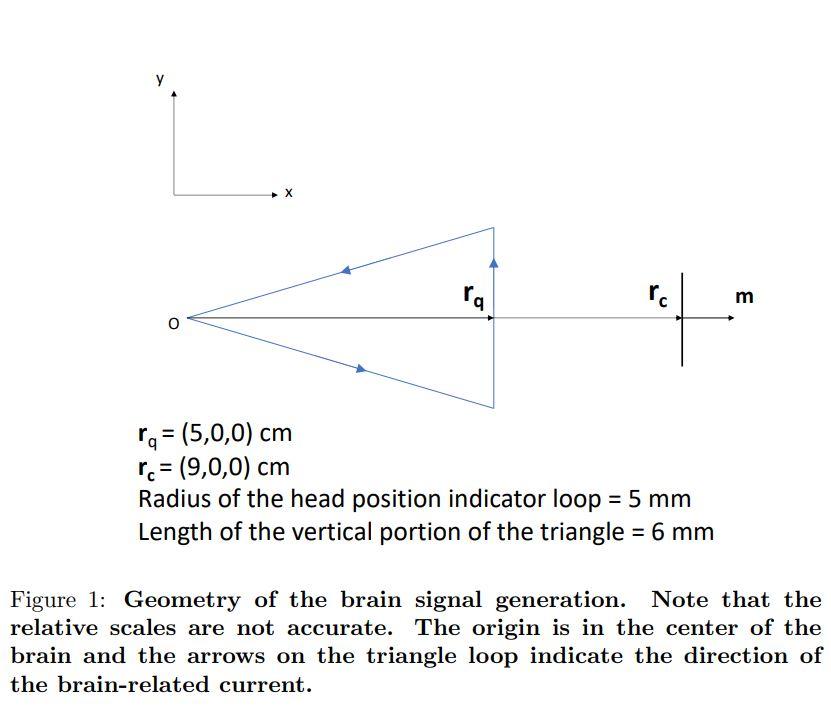 Introduction to MEG: Brain activity is associated | Chegg.com