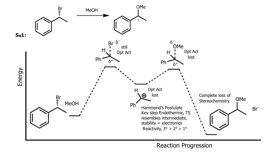 Solved Part III: Mechanistic Understanding 19. (30 pt) | Chegg.com
