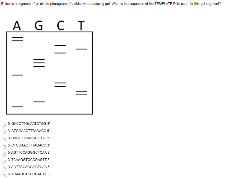 Solved Below is a segment of an electropherogram of a | Chegg.com