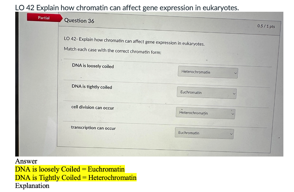 Solved LO 42 Explain how chromatin can affect gene | Chegg.com