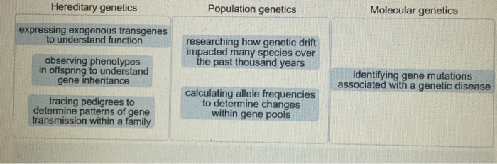 Solved These answers shown are not correct. I need the help | Chegg.com