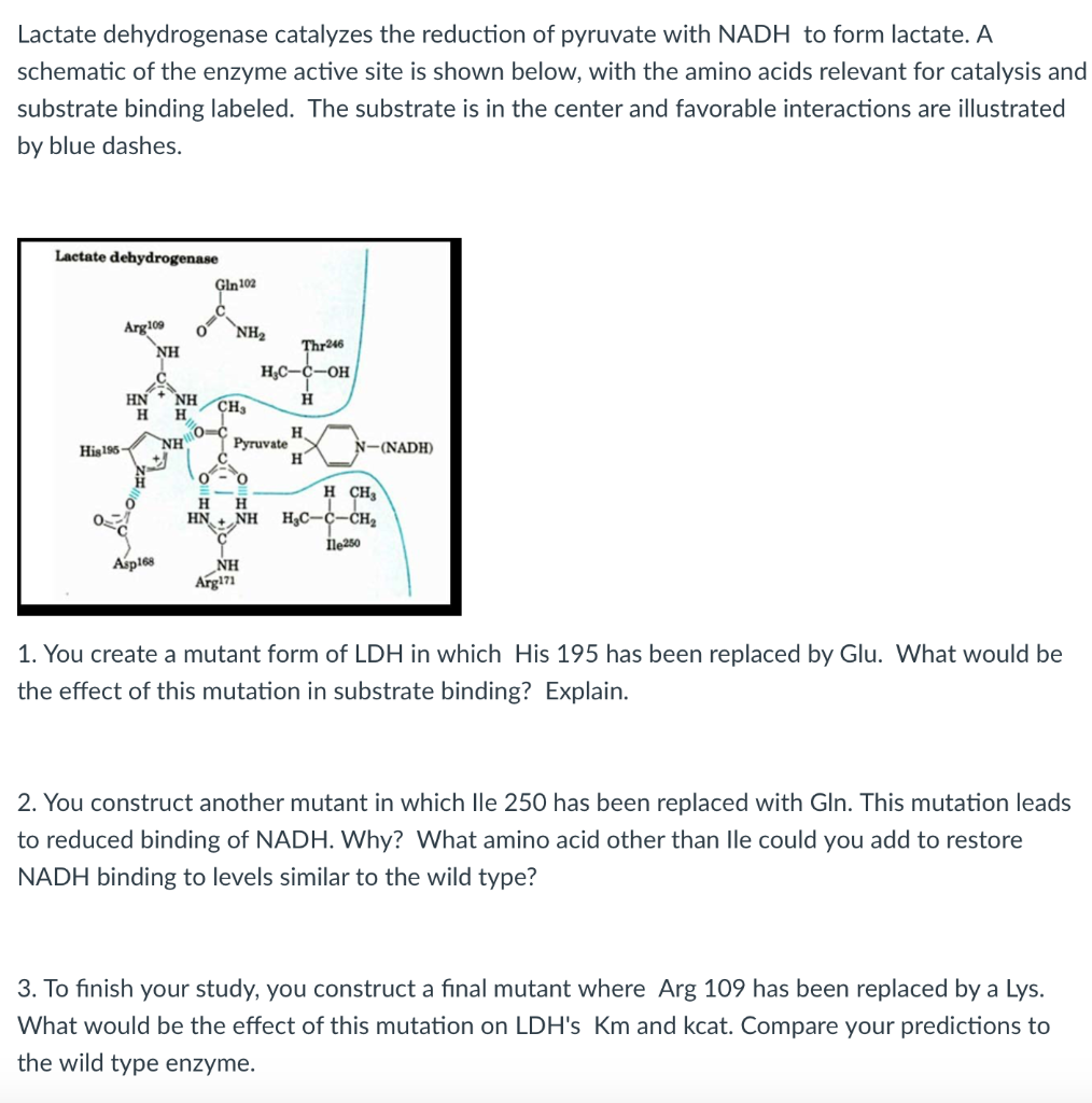 Solved Lactate dehydrogenase catalyzes the reduction of | Chegg.com