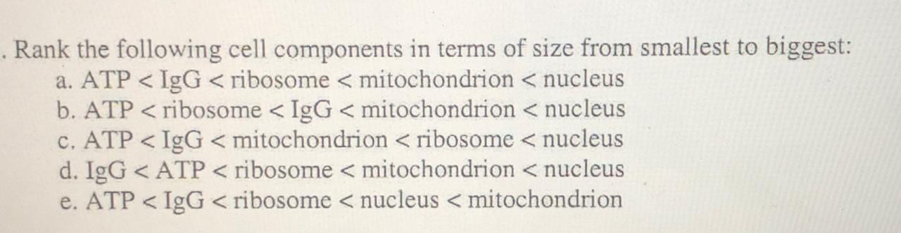 Solved Rank the following cell components in terms of size | Chegg.com