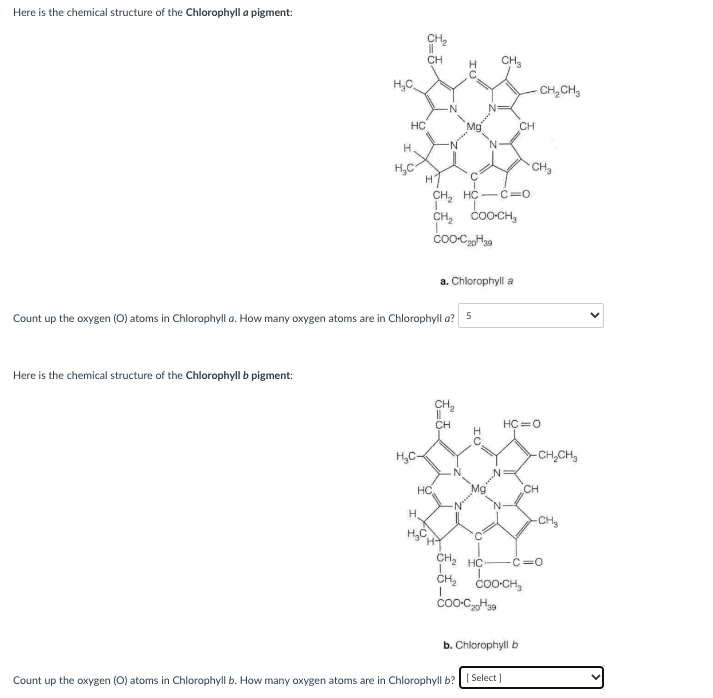 Solved Here is the chemical structure of the Chlorophyll a | Chegg.com