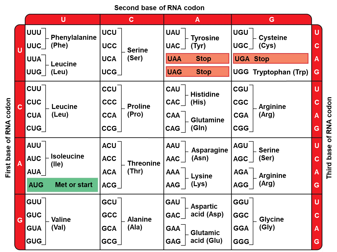 Use figure to answer questions 6-9. 6. How | Chegg.com
