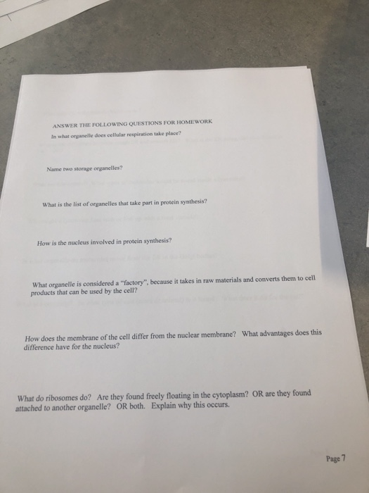 Solved ANSWER THE FOLLOWING QUESTIONS FOR HOMEWORK In what | Chegg.com