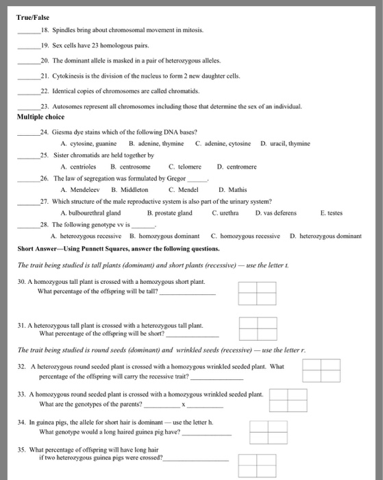 Solved True/False 18. Spindles bring about chromosomal | Chegg.com