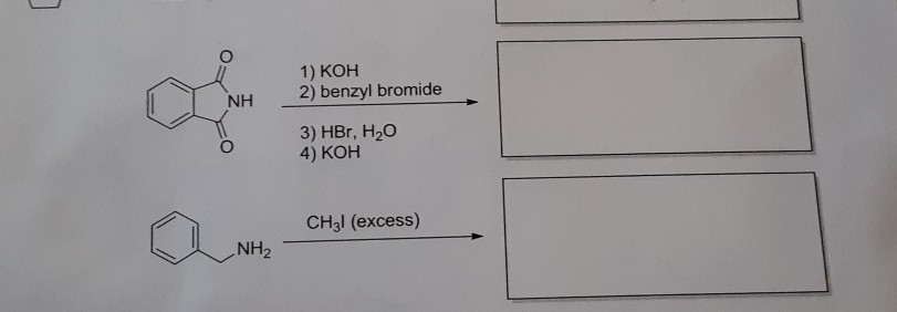 Solved 1) KOH NH 2) benzyl bromide 3) HBr, H20 4) KOH CH3l | Chegg.com